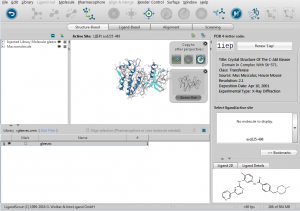 LigandScout教程–VINA分子对接