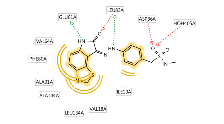 Ligandscout教程 | 2D图展示配体-受体相互作用