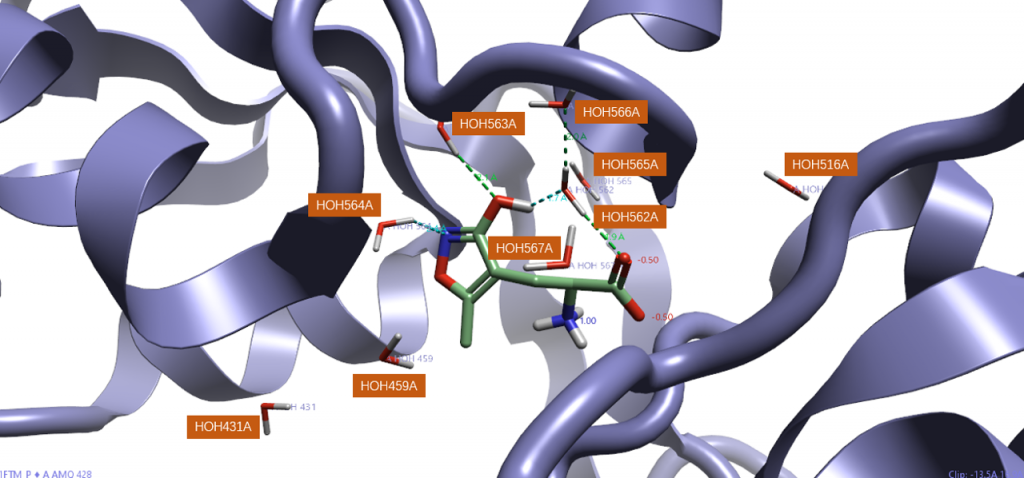 联合使用3D-RISM与GIST计算密闭结合位点里水的热力学性质