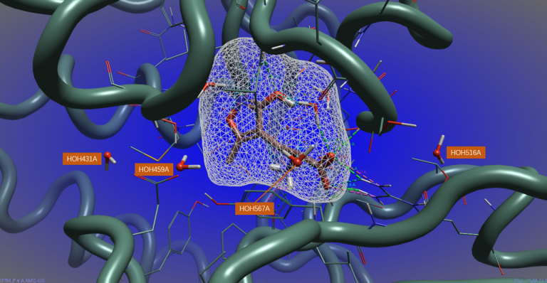 联合使用3D-RISM与GIST计算密闭结合位点里水的热力学性质