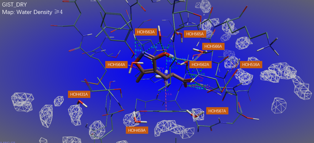 联合使用3D-RISM与GIST计算密闭结合位点里水的热力学性质