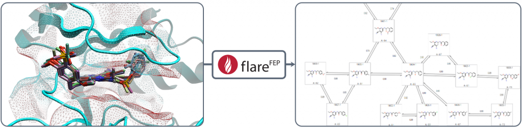 使用Flare™ FEP计算验证AI预测的蛋白质结构模型