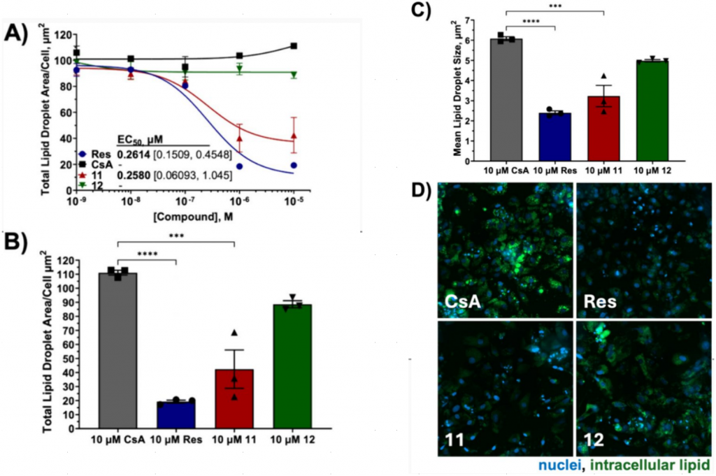 Flare FEP案例 | 优化靶向亲环素B的三臂抑制剂用于新型MASH的治疗